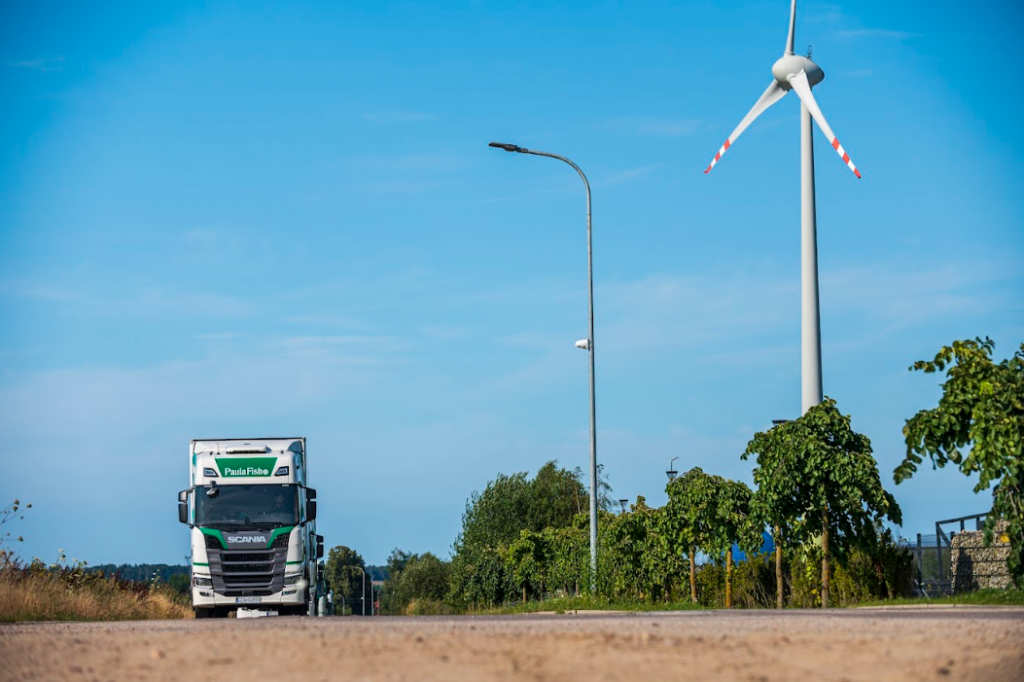 Paula fish - W TRASIE