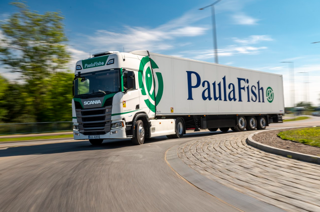 Paula fish - W TRASIE