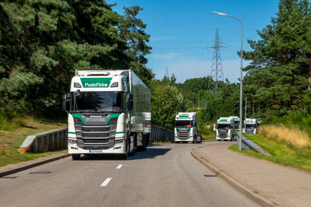 Paula fish - W TRASIE